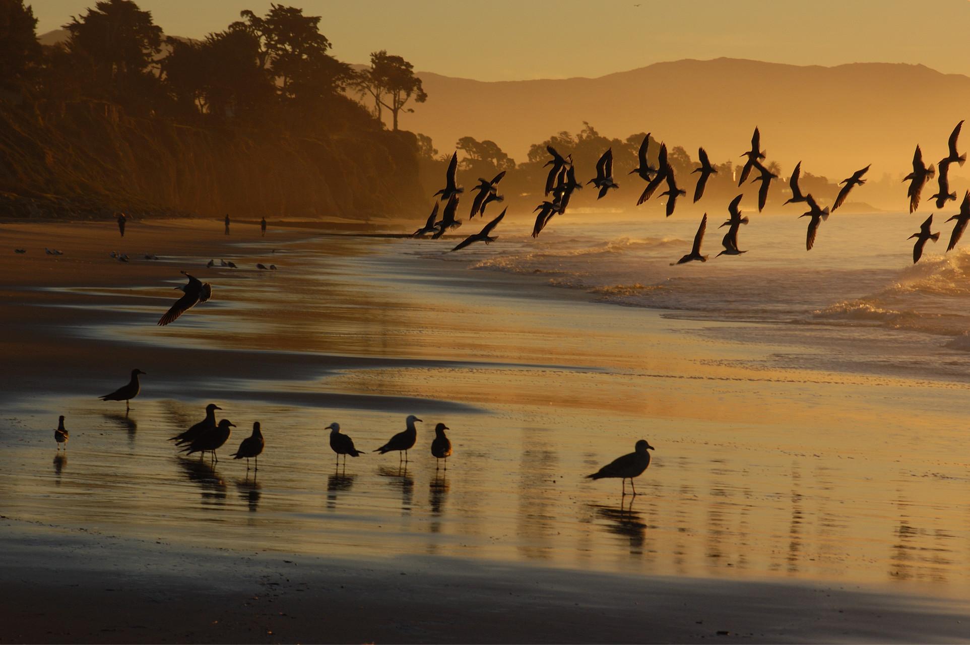 Unforgettable 80s Icon: A Flock of Seagulls' Timeless Influence
