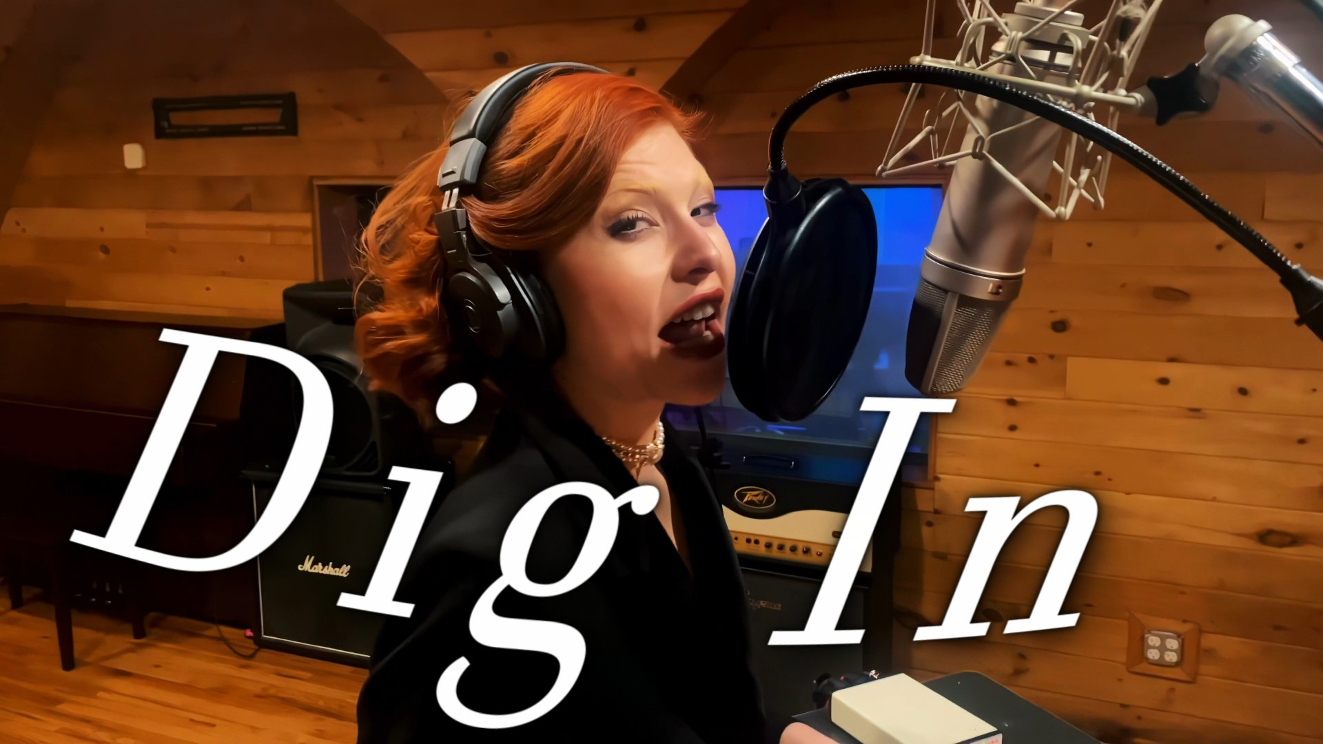 Lenny Kravitz - DIG IN - Cover - Lisa Marie Schalk ...